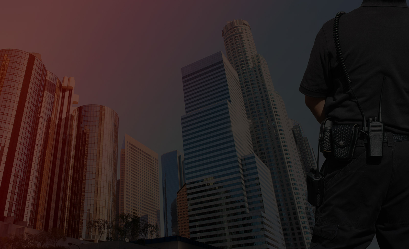 Task Force Protection - Security, Patrol & Fire Guard Services